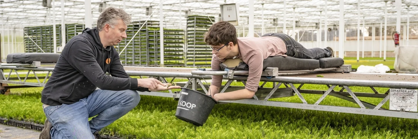 Wat is de Participatiewet | UWV